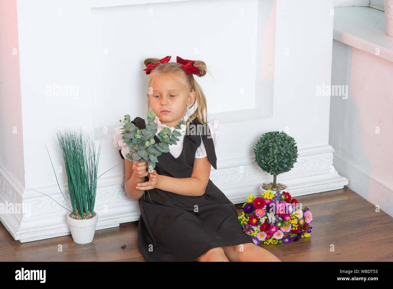 Portrait of beautiful young first-grader. First-grader girl in the ...