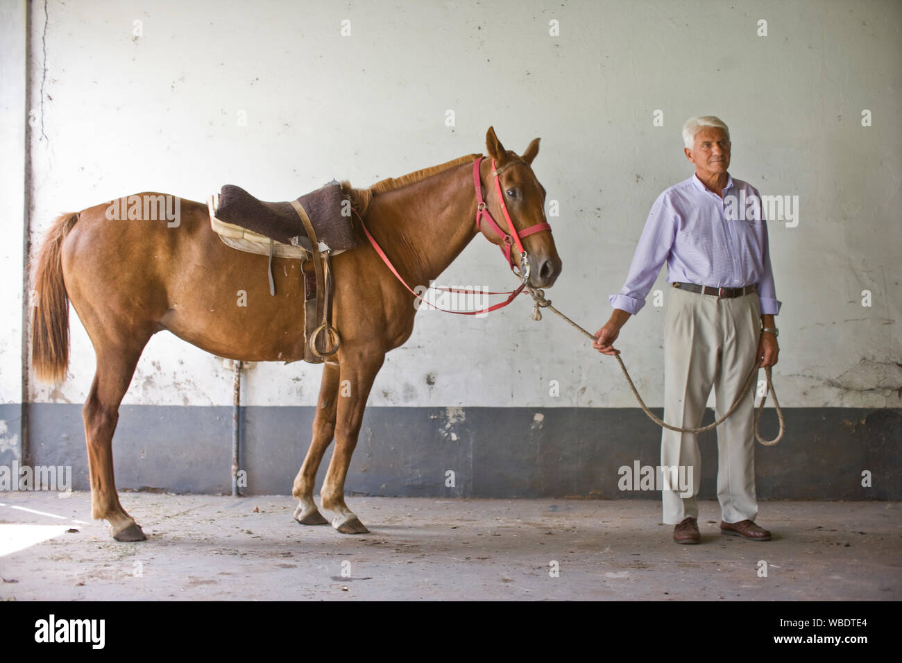 Man and horse in stall hi-res stock photography and images - Alamy