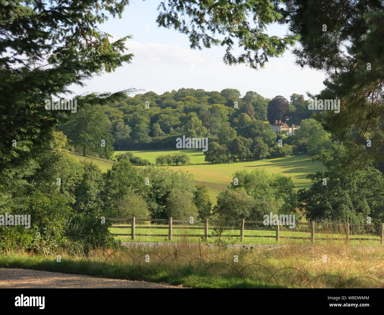 Fences And Trees High Resolution Stock Photography and Images - Alamy