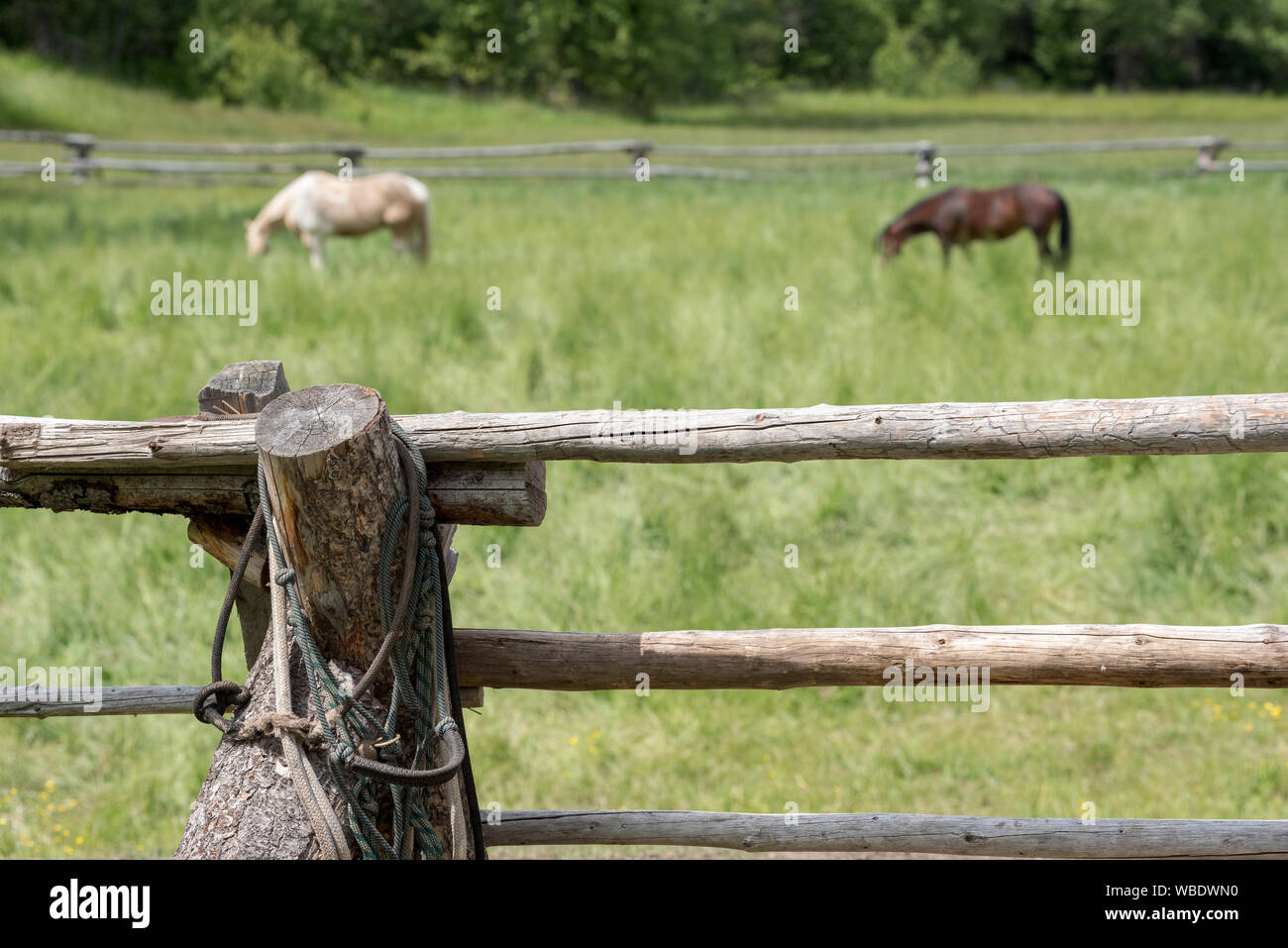 Minam River Lodge High Resolution Stock Photography and Images - Alamy