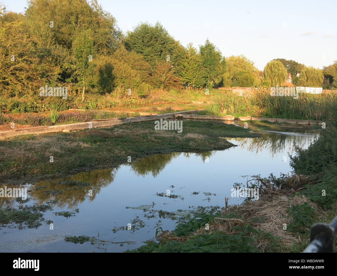 The historic watercress beds at Ewelme village in Oxfordshire; the ...