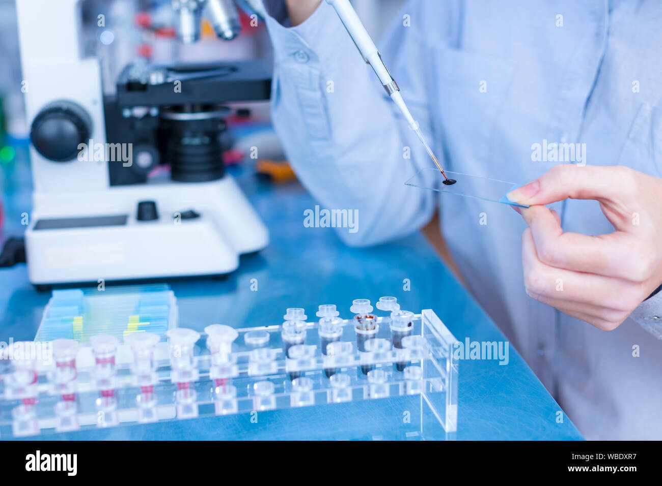 Microscope slide in the laboratory Stock Photo - Alamy