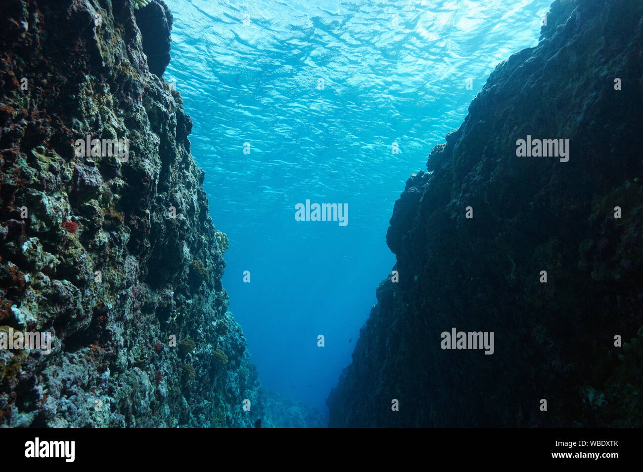Crevice hi-res stock photography and images - Alamy