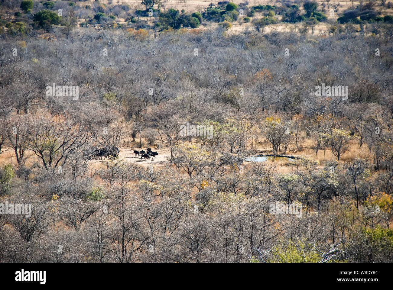 The remote landscape of the Waterberg in Limpopo Province, South Africa ...
