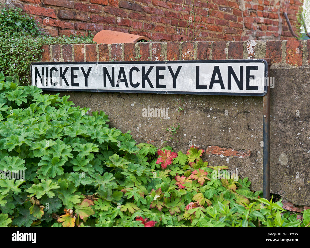 Road sign - Nickey Nackey Lane - in Cawood, North Yorkshire, England UK ...