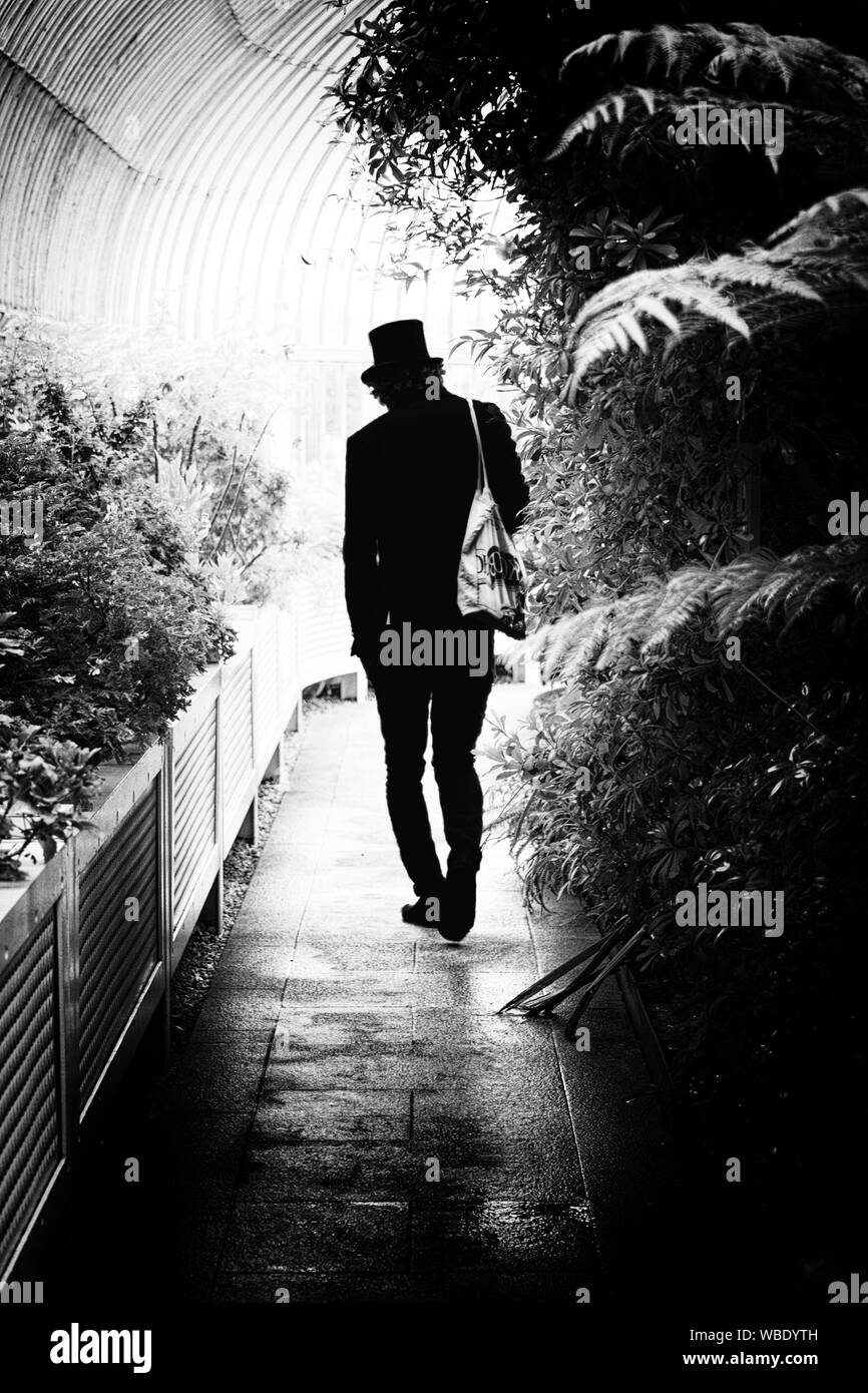 From darkness into light hi-res stock photography and images - Alamy