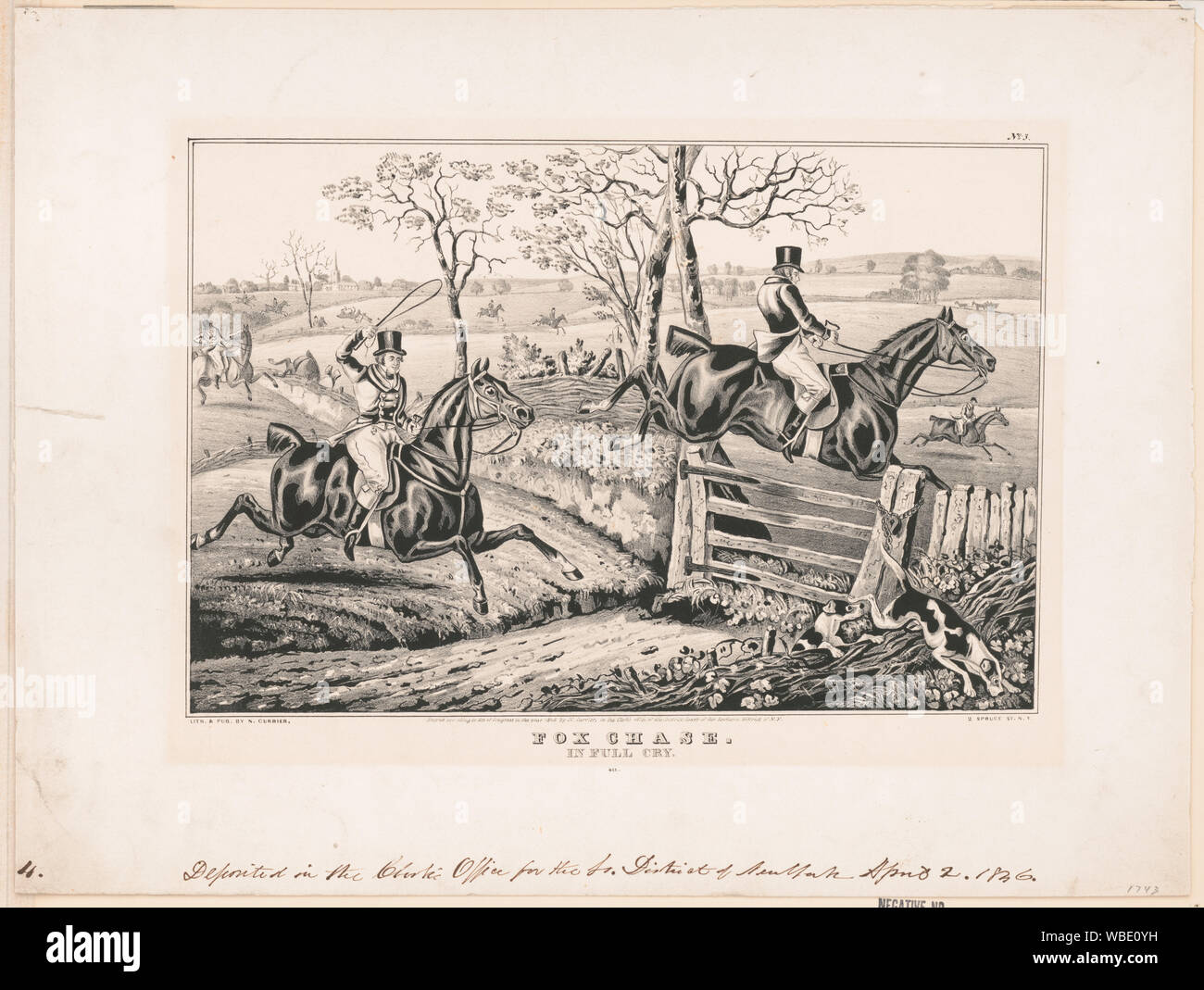 Fox chase: In full cry Stock Photo - Alamy