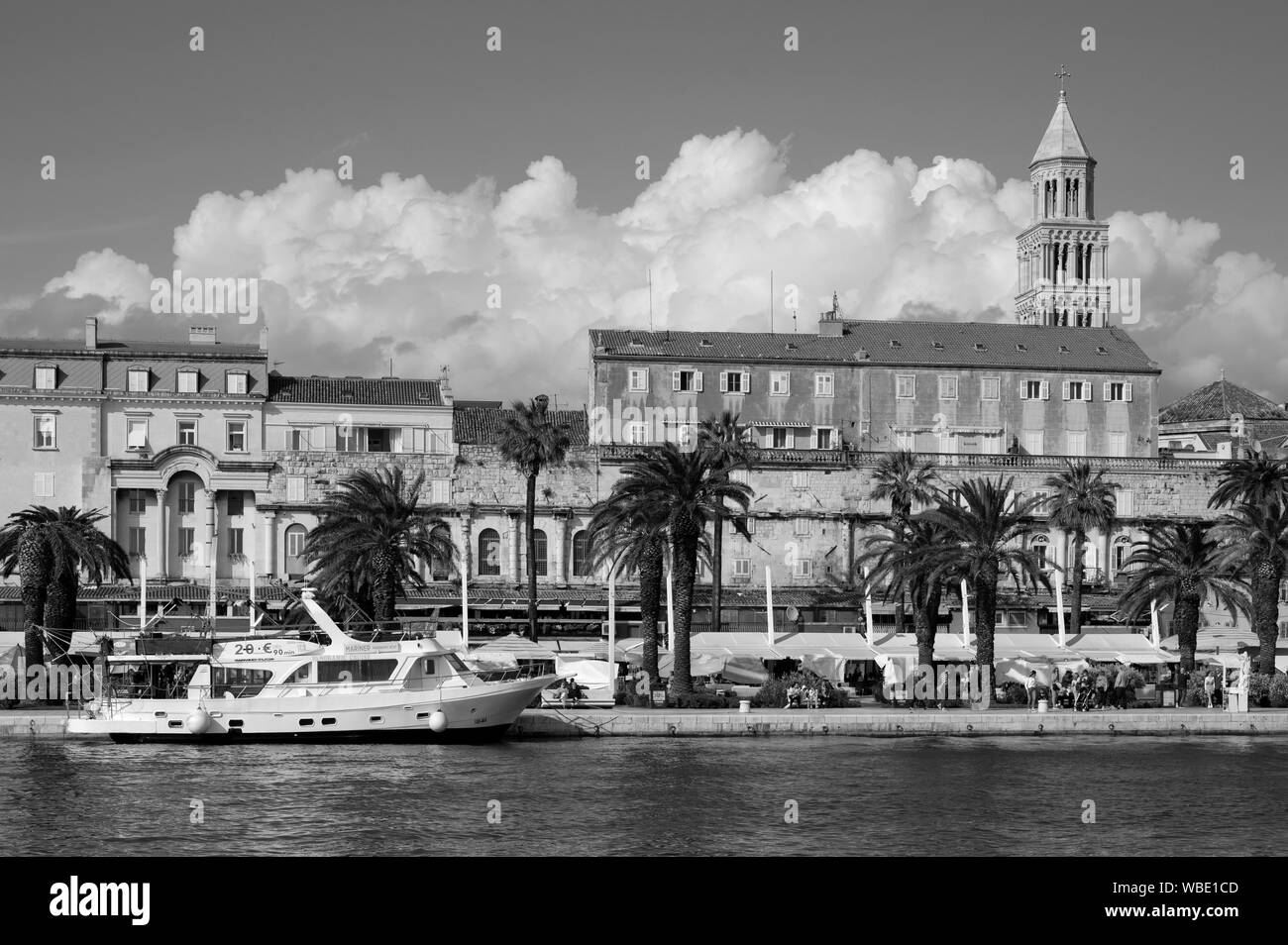 Dalmatian at sea Black and White Stock Photos & Images - Alamy