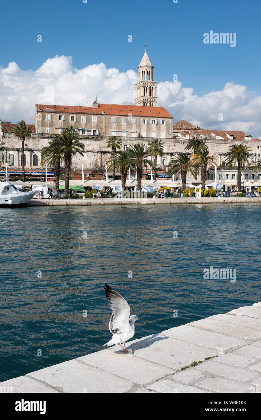 Europe; Croatia; Dalmatian Coast, Split Stock Photo - Alamy