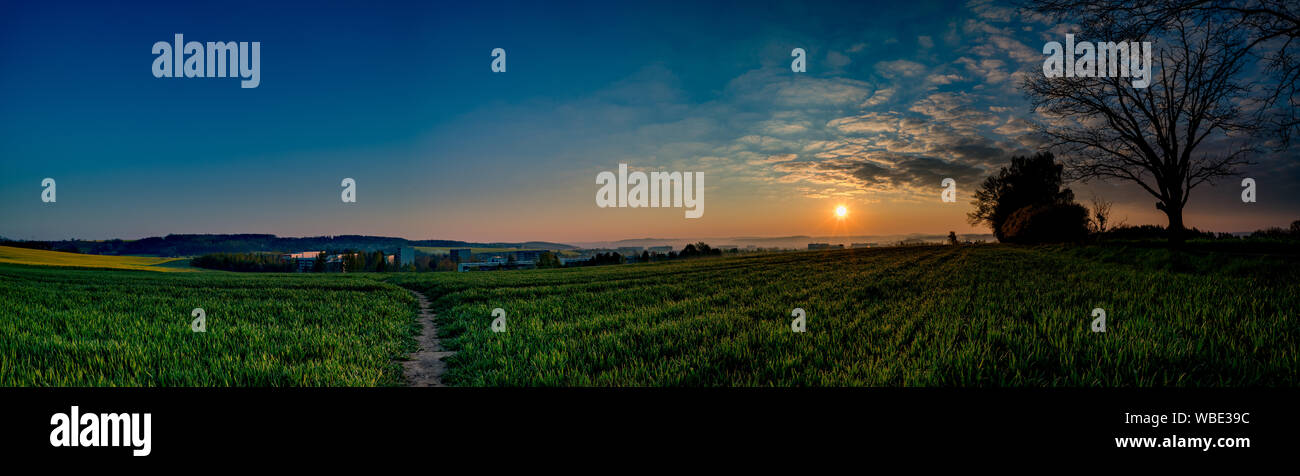 Panorama of the field at dawn Stock Photo - Alamy
