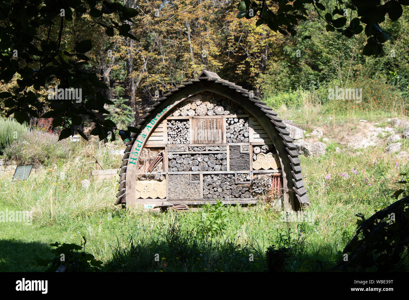 Conservation des plantes hi-res stock photography and images - Alamy