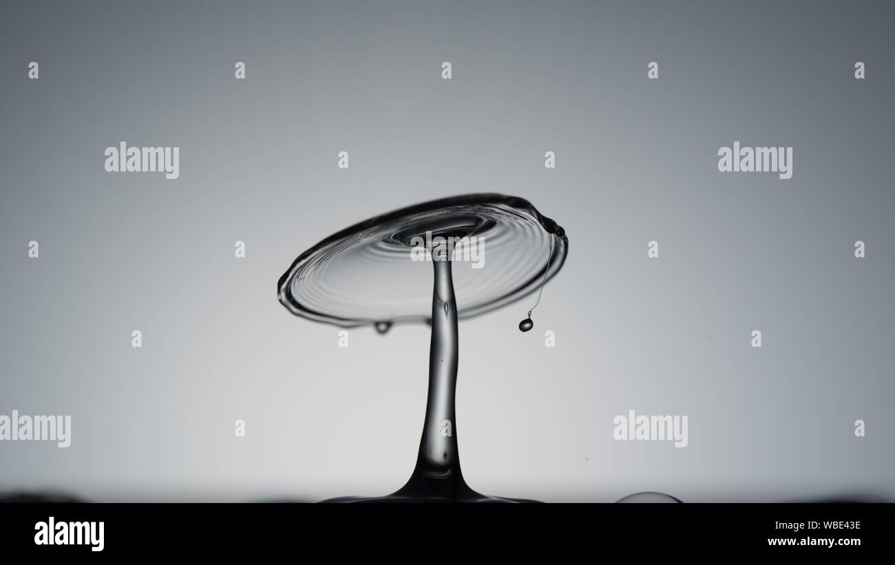 Close-up of a water drop falling on water surface Stock Photo - Alamy