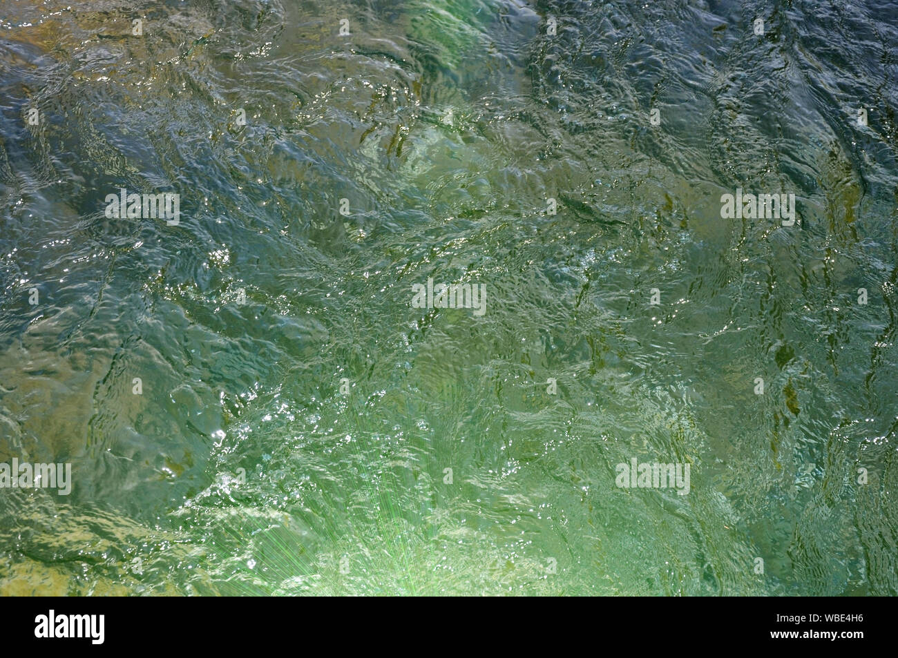 River Water Texture