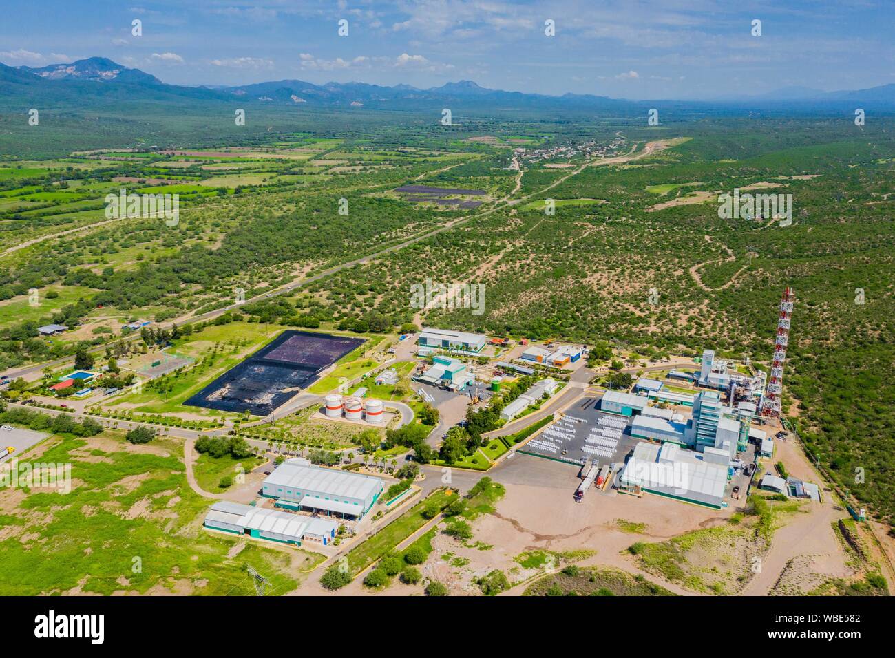 Planta de beisbol hi-res stock photography and images - Alamy