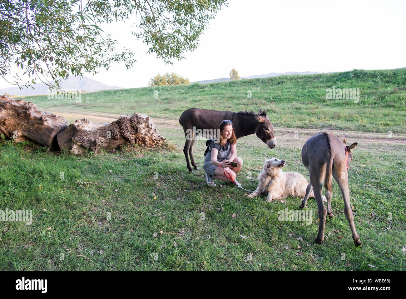 Woman, dog and donkey Stock Photo - Alamy