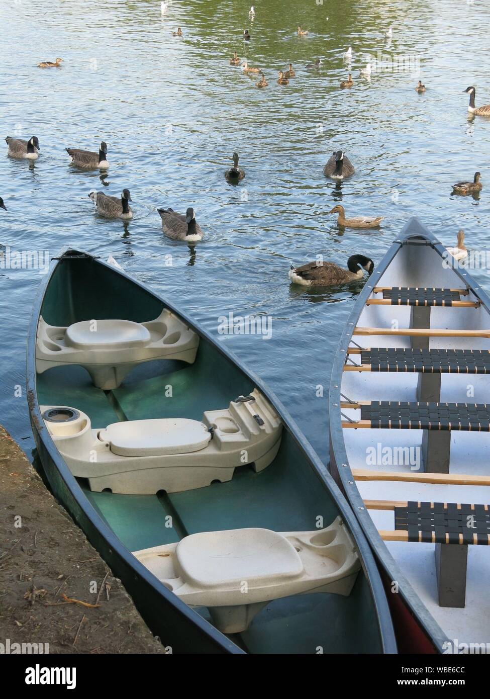 Rowing boats tied up thames hi-res stock photography and images - Alamy