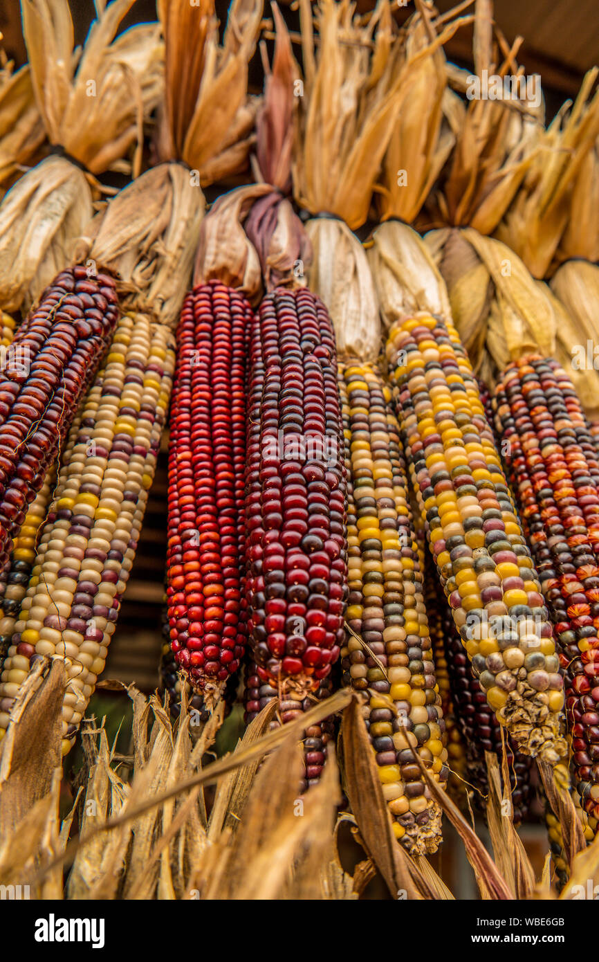 Indian hanging decorations hi-res stock photography and images - Alamy