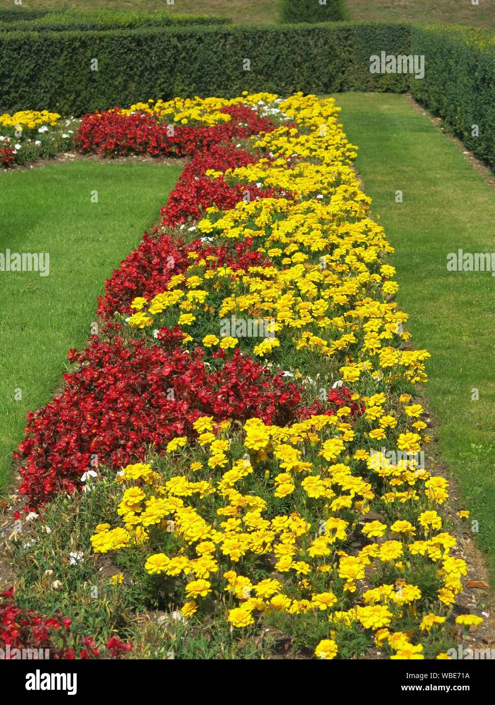 Parterre planting hi-res stock photography and images - Alamy