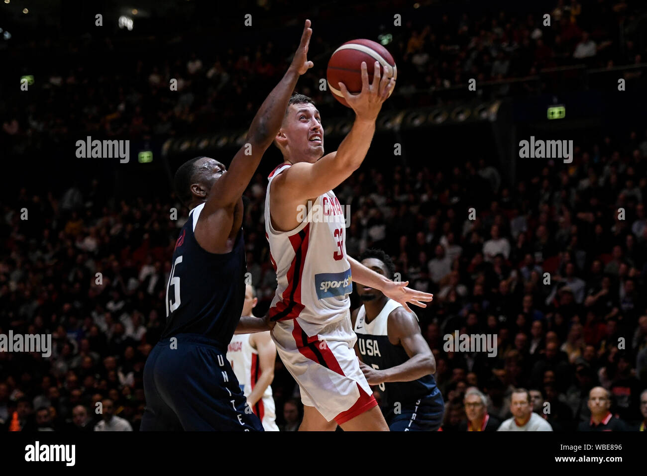Wiltjer hi-res stock photography and images - Alamy
