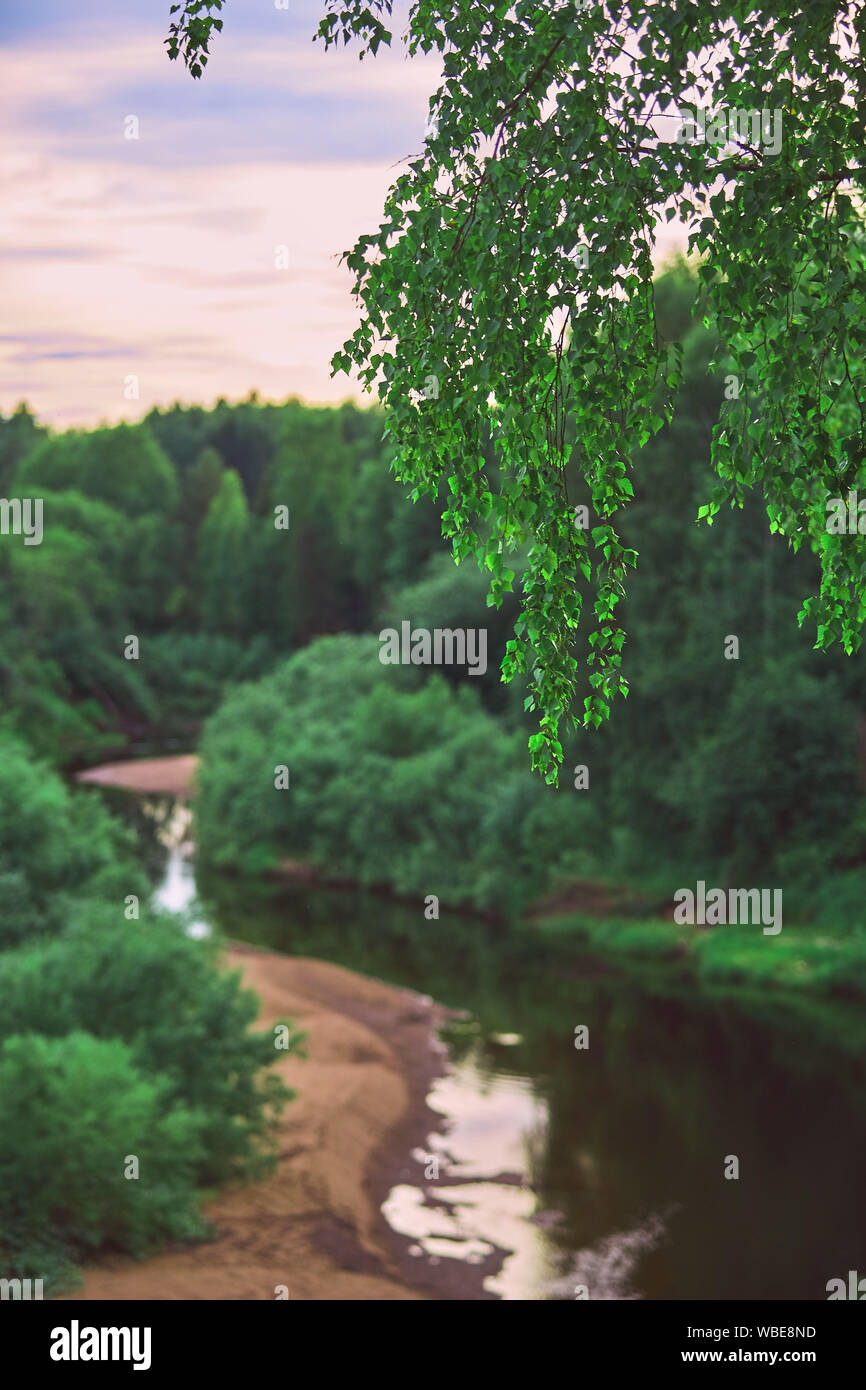 Birch creek valley hi-res stock photography and images - Alamy