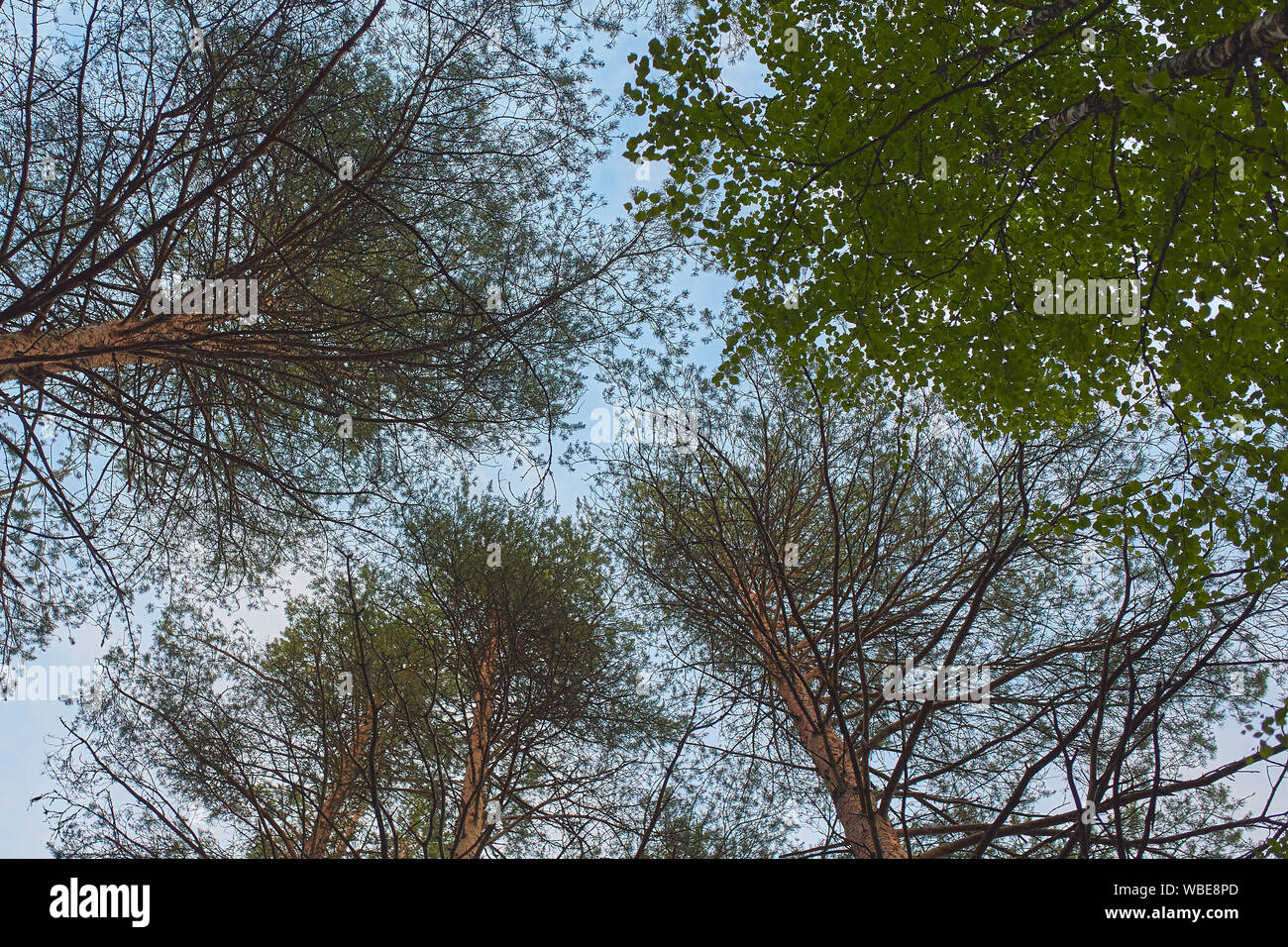 Removed from the bottom hi-res stock photography and images - Alamy