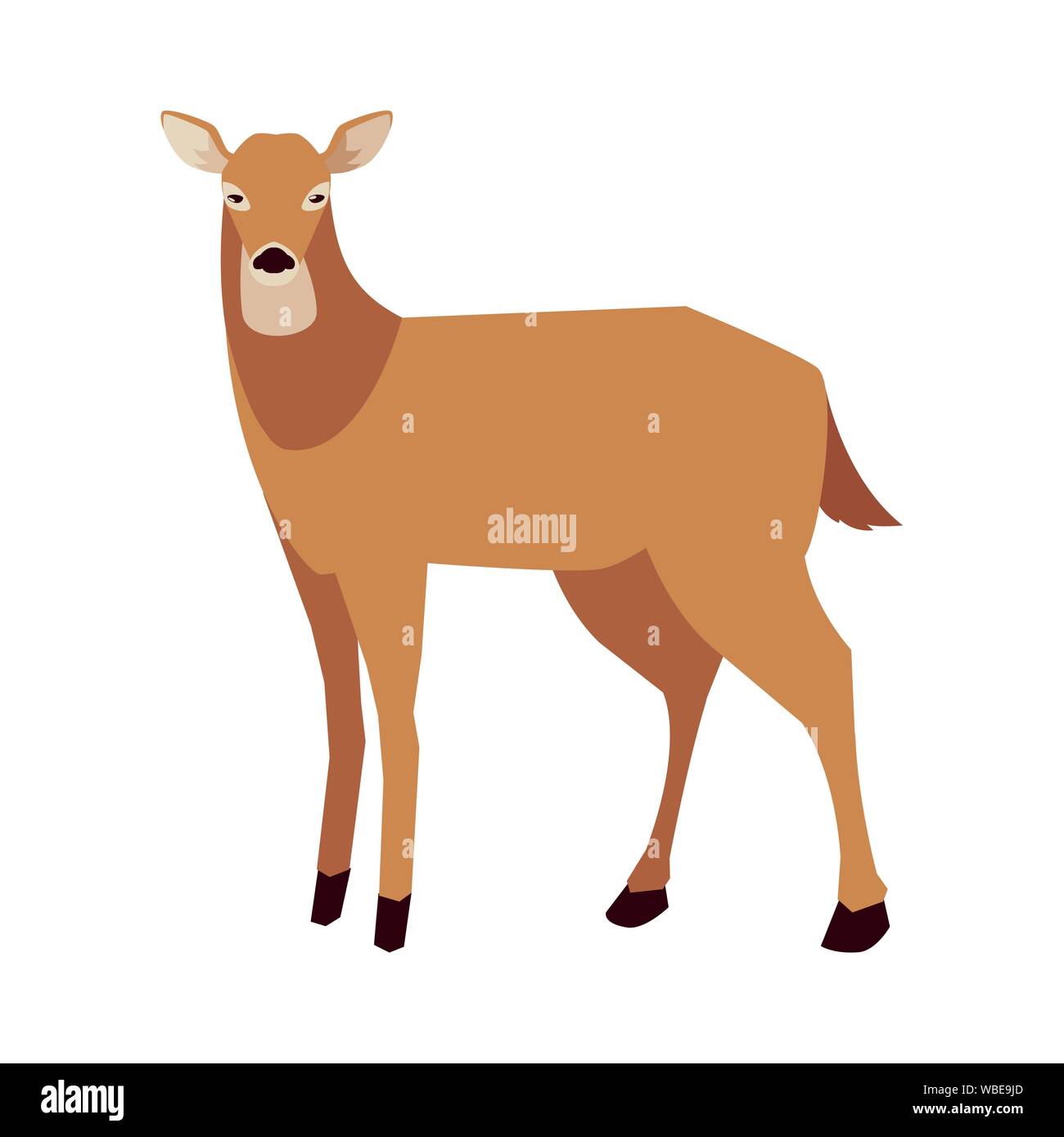 deer female wildlife happy autumn season vector illustration Stock ...