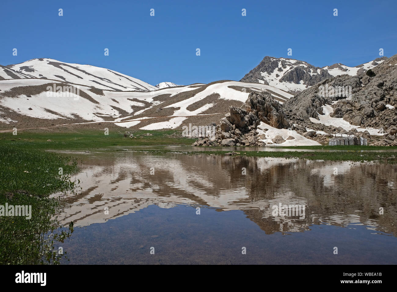 with the melting of snow in high plateaus, nature comes alive. subaşı ...