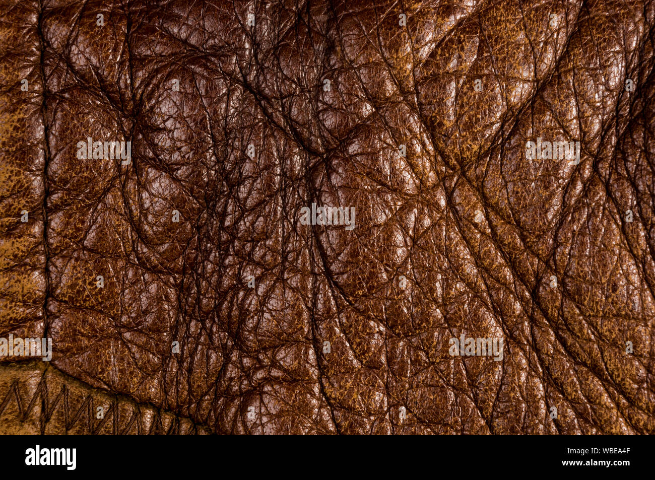 Old vintage genuine soft brown leather texture background, top layer ...