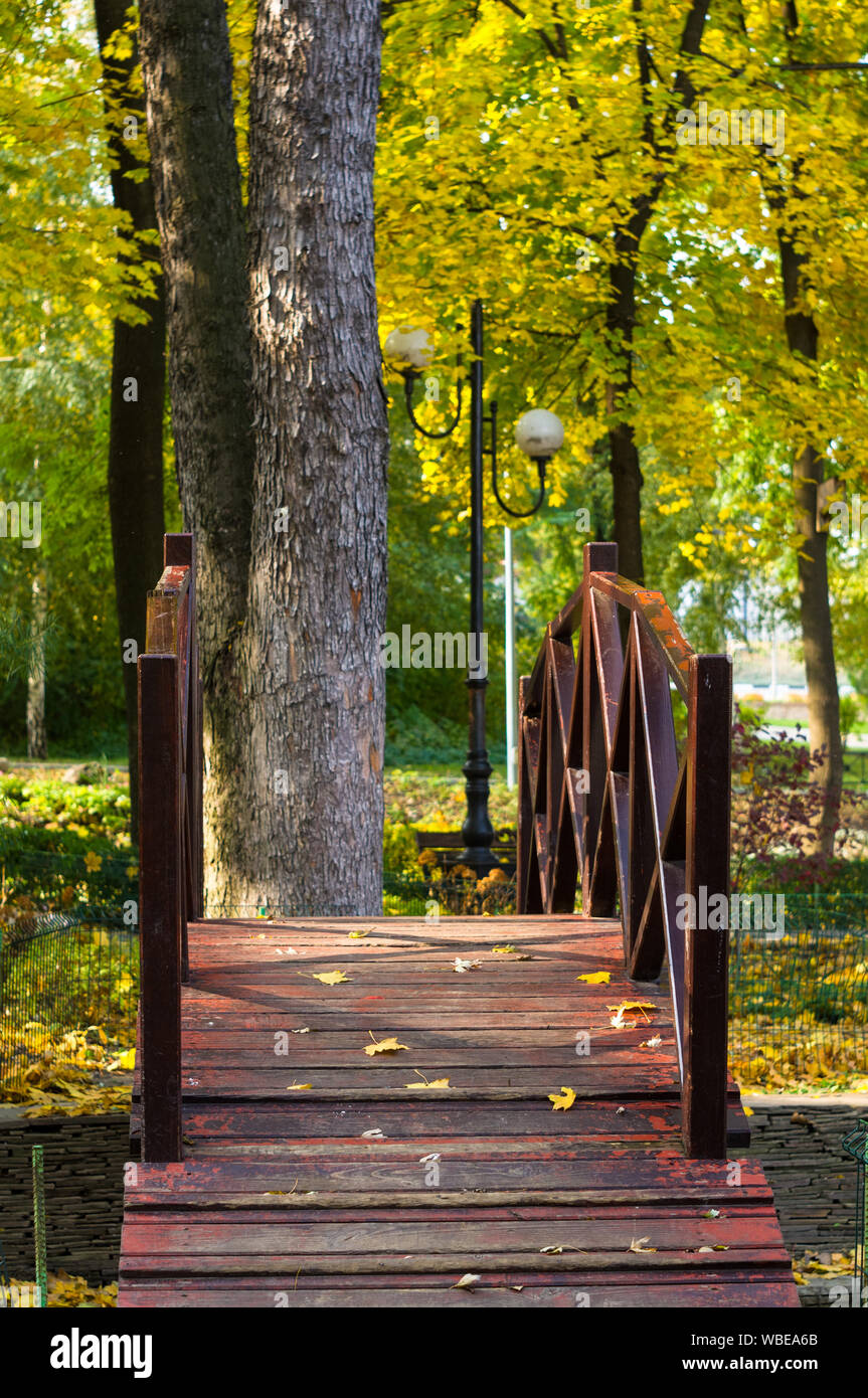 Autumn cityscape on a Sunny day - yellow autumn trees in the Park ...