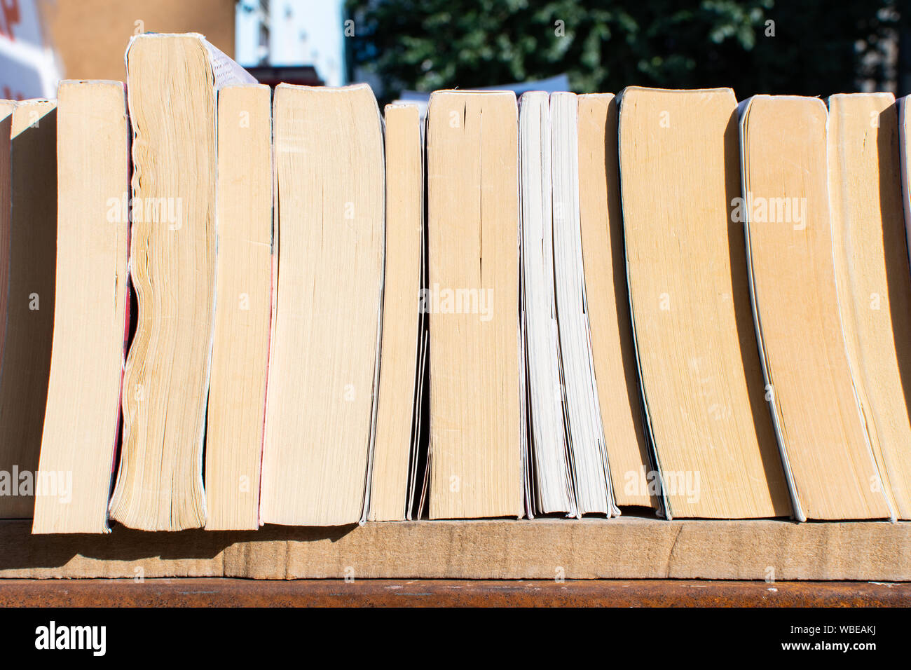 Outdoor Bookcase High Resolution Stock Photography and Images - Alamy