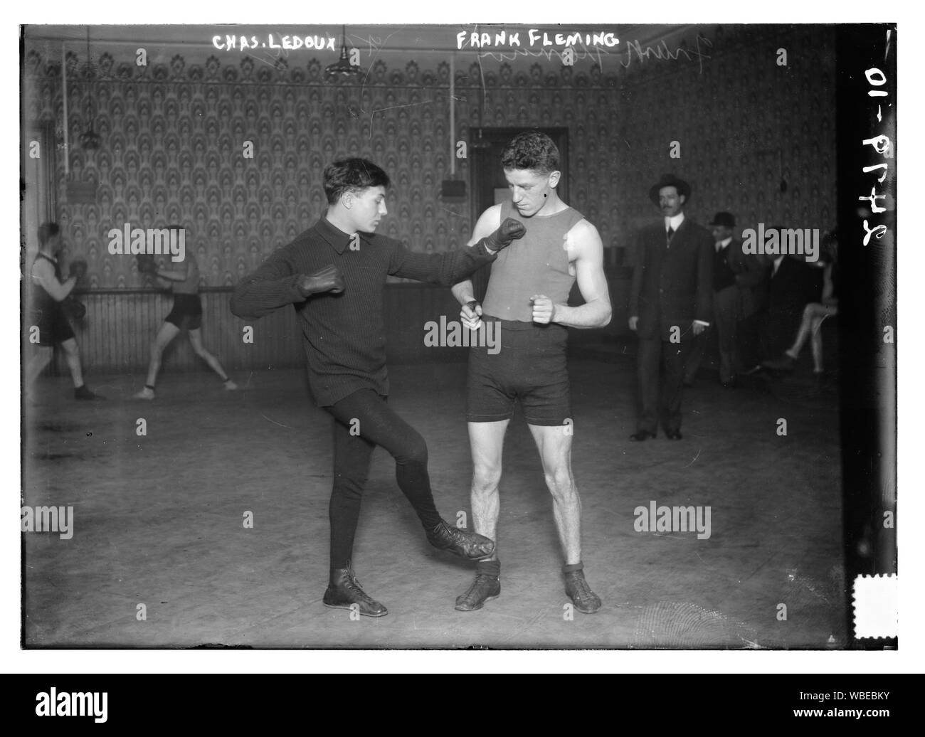 French boxer hi-res stock photography and images - Alamy