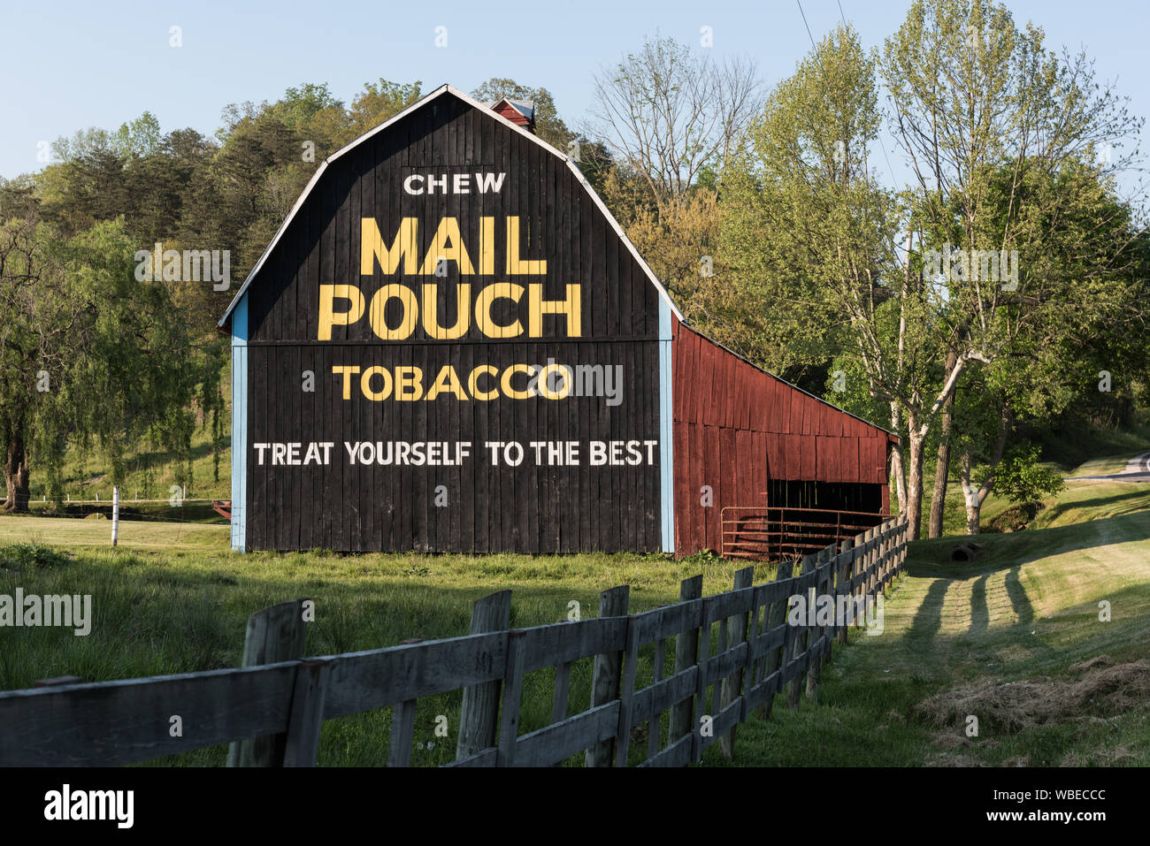 Freshly painted (or repainted) Mail Pouch Tobacco sign on a barn in ...