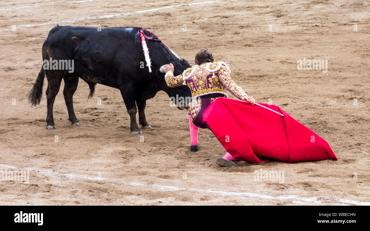 Angry bull back hi-res stock photography and images - Alamy