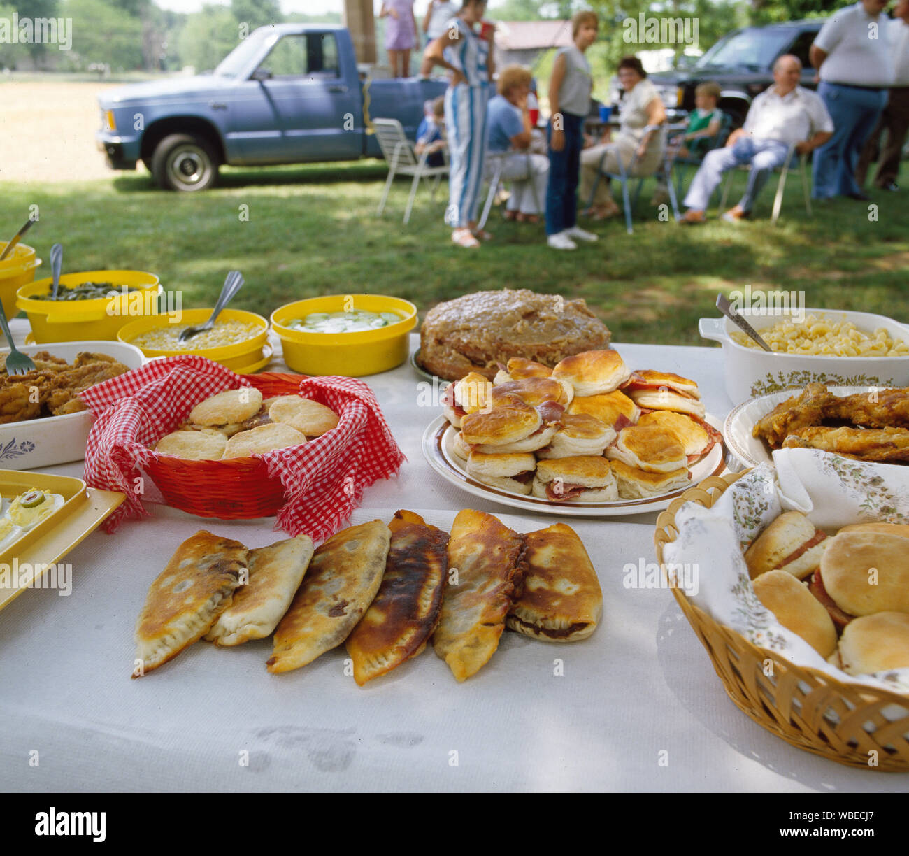 Family Reunion Picnic Images