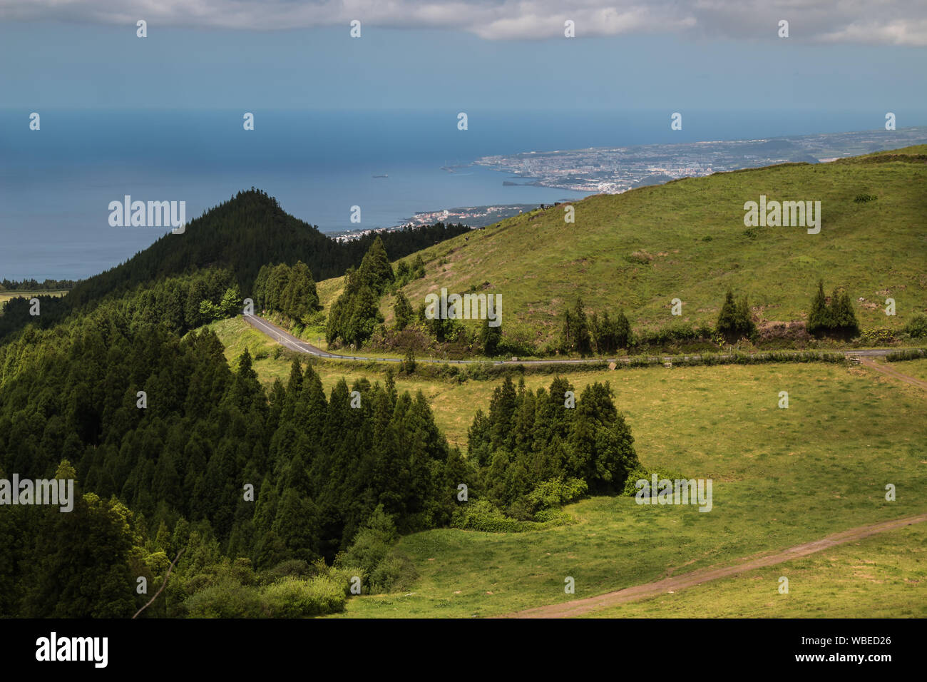Country covered with green spring grass and with a line of a road ...