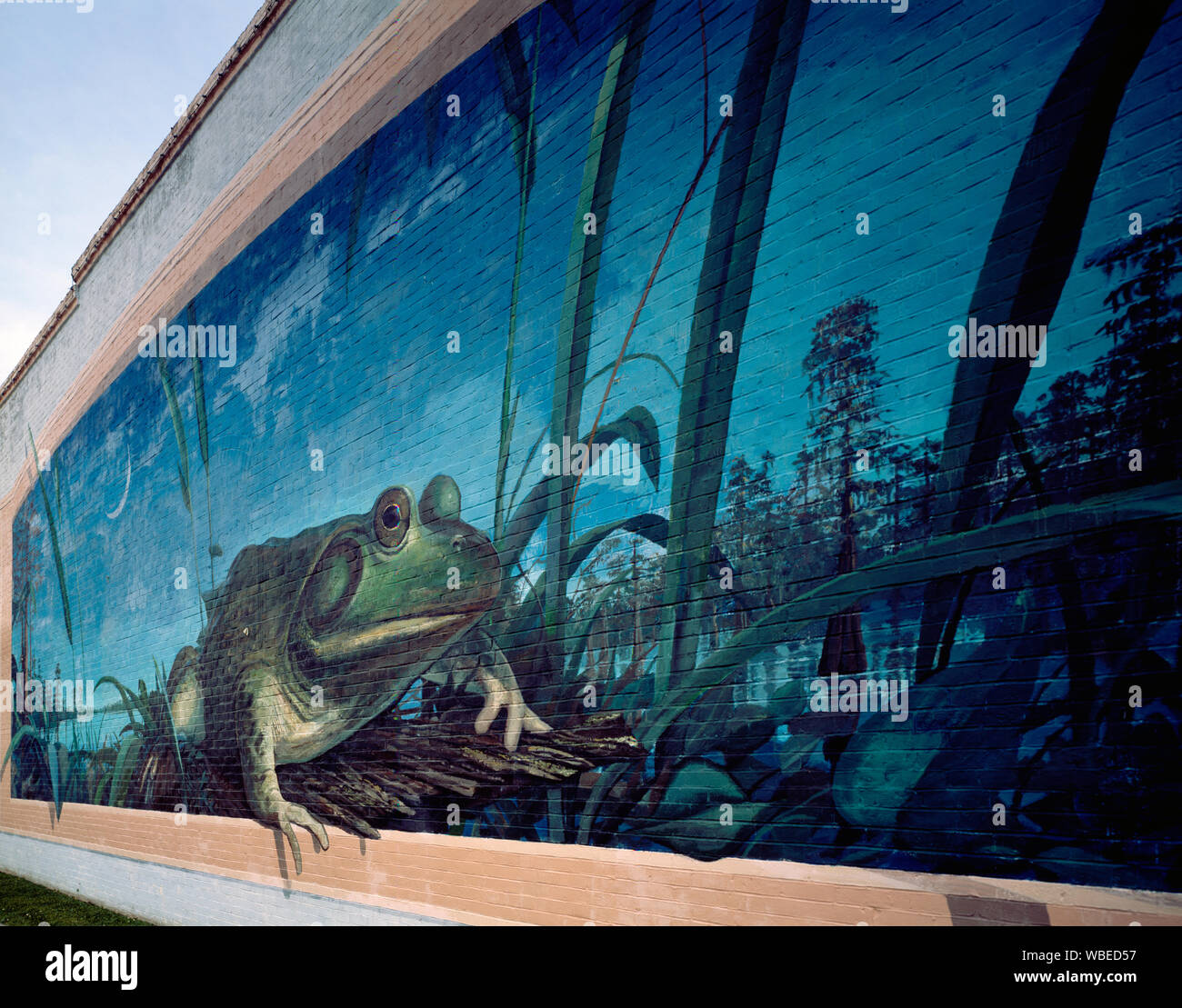 Frog mural by artist Robert Dafford in Rayne, Louisiana, the Frog ...
