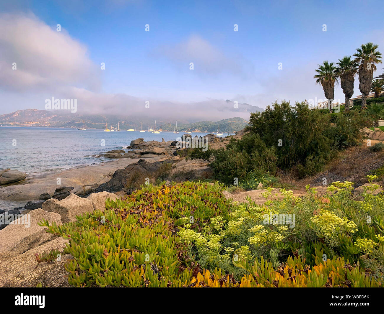 Mediterranean vegetation hi-res stock photography and images - Alamy