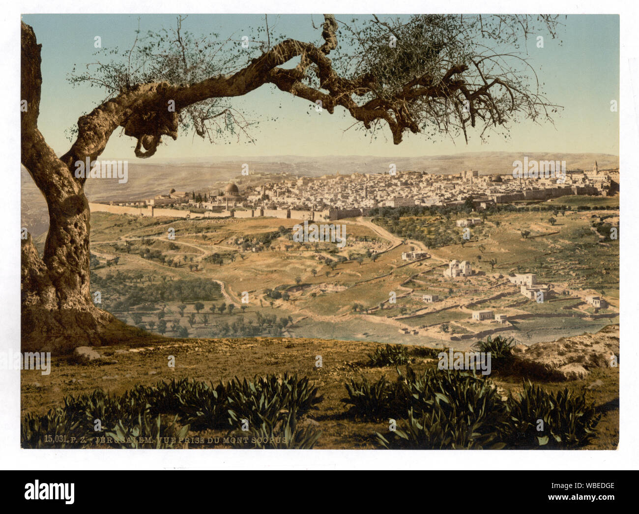 Jerusalem old city mount Cut Out Stock Images & Pictures - Alamy