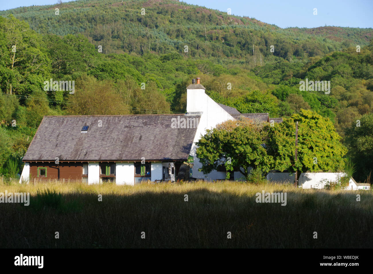Ardess Lodge at Rowardennan beside Loch Lomond Stock Photo - Alamy