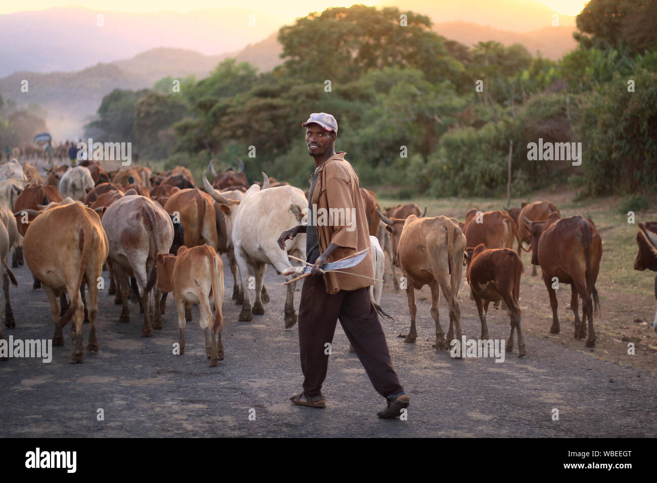Tribal Hamer people in Turmi, Lower Omo Valley, Ethiopia Stock Photo ...