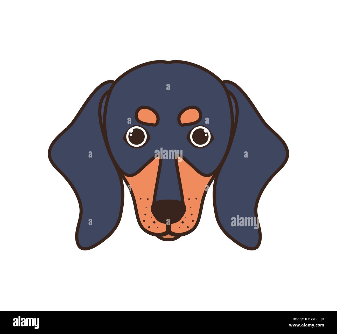 head of cute dachshund dog on white background Stock Vector Image & Art ...
