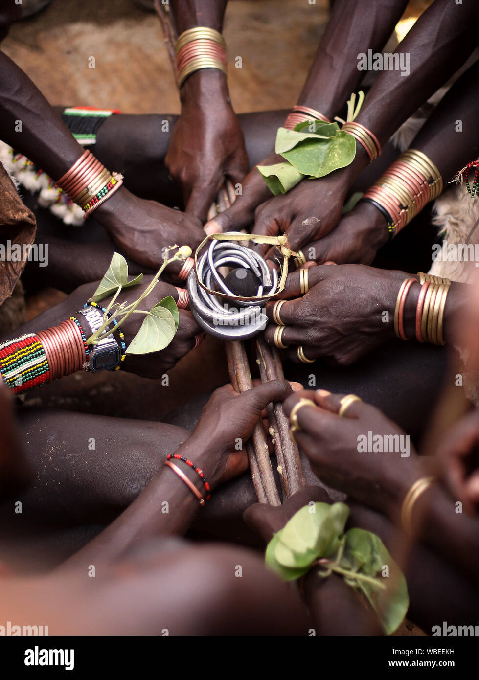 Hamer ritual at a bull jumping ceremony, Lower Omo Valley, Ethiopia ...