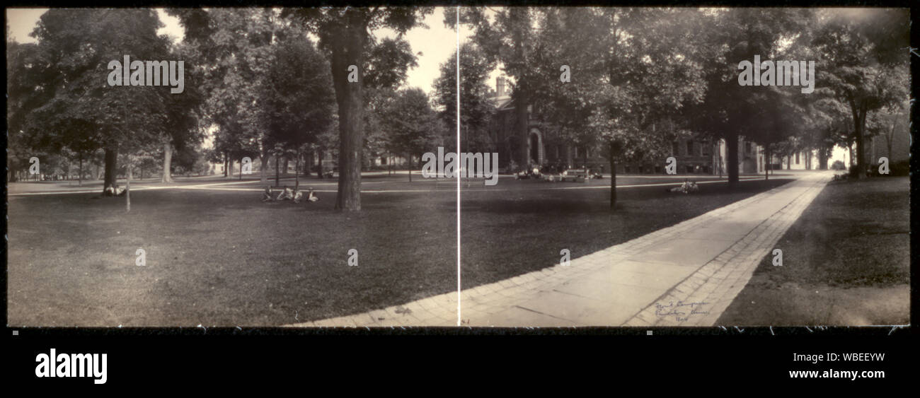 Front campus, Princeton Univ., 1904 Stock Photo - Alamy