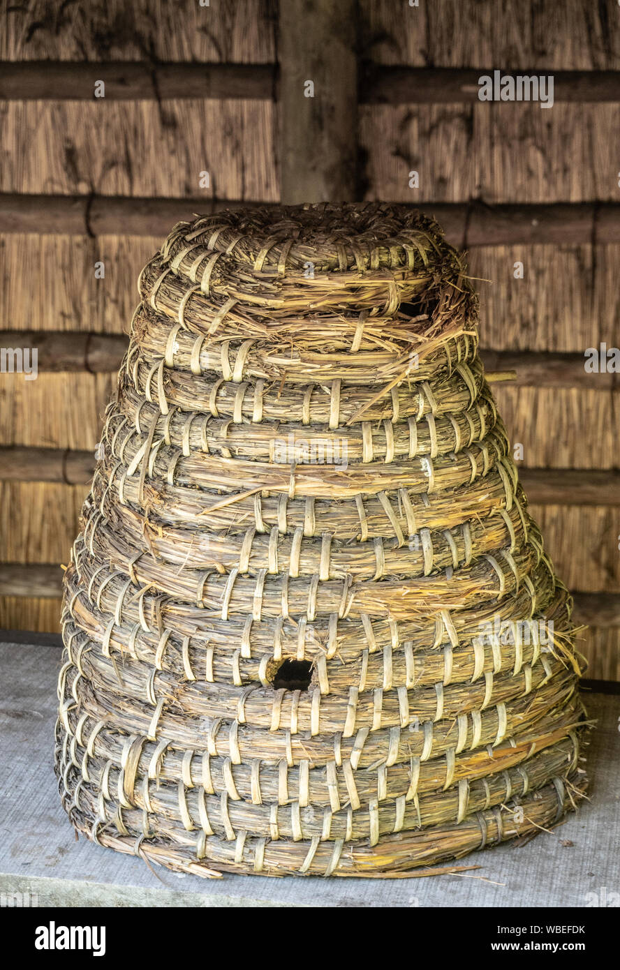 Straw beehive hi-res stock photography and images - Alamy