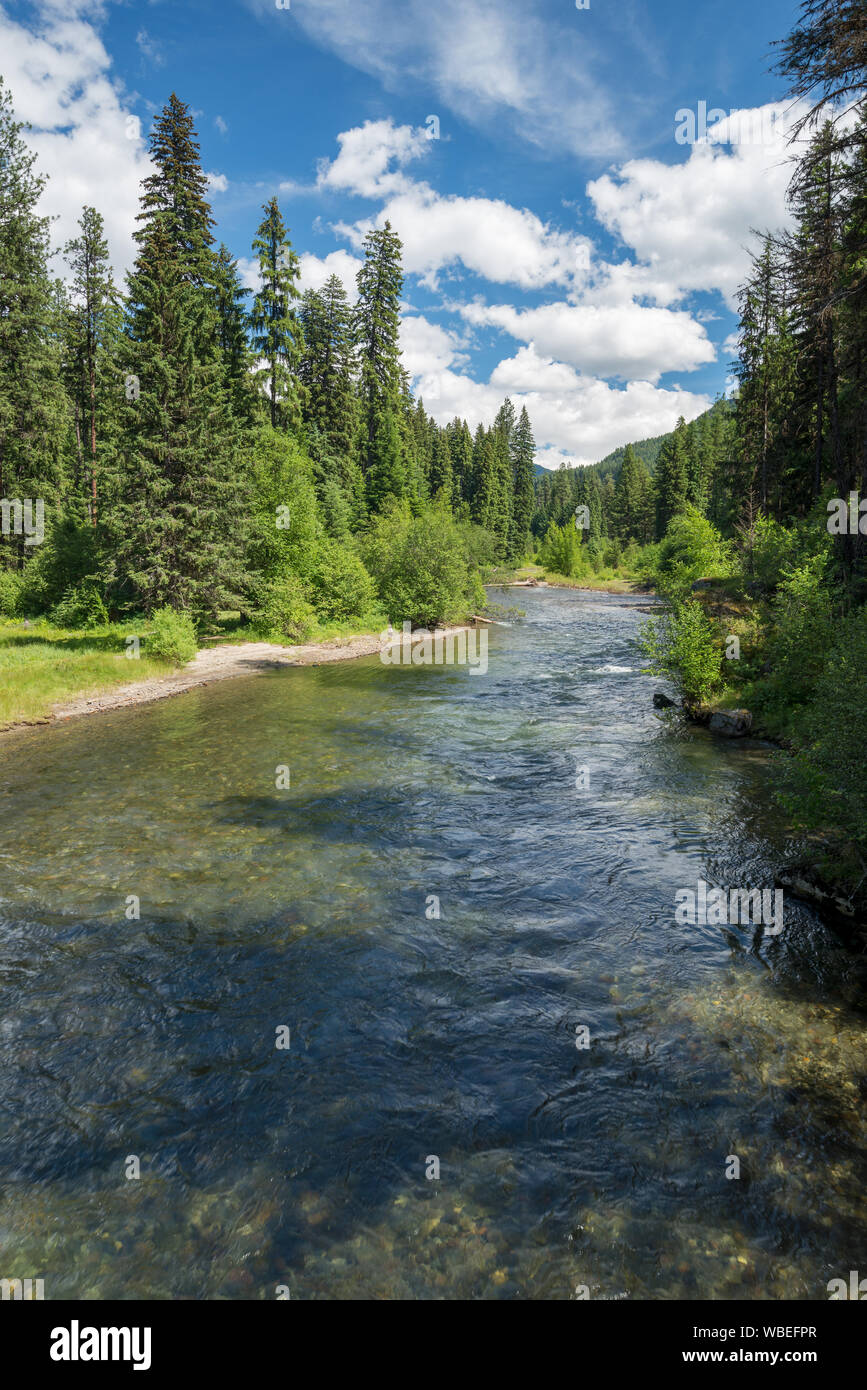 Minam forest hi-res stock photography and images - Alamy