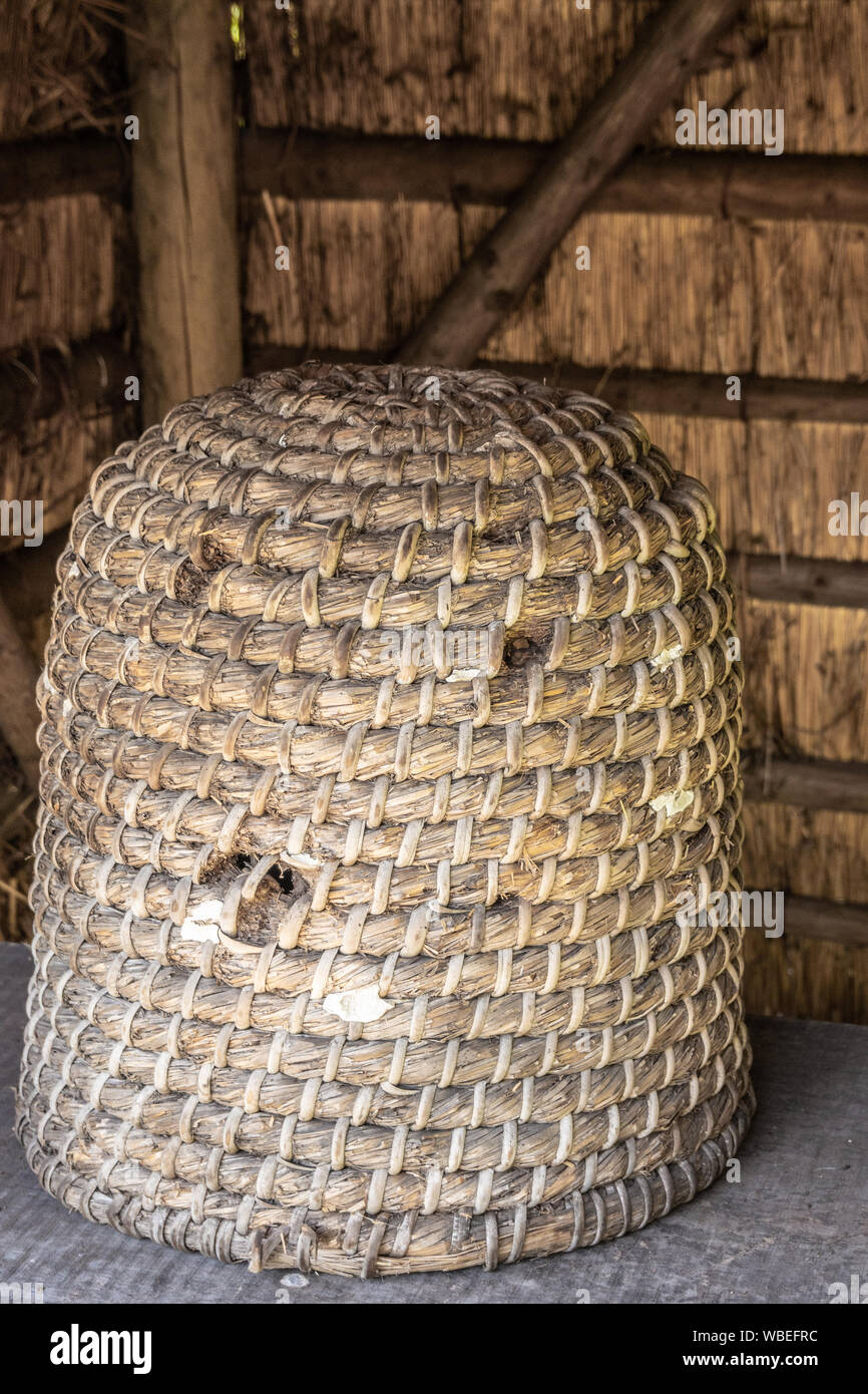 Bokrijk, Belgium - June 27, 2019: Closeup of classic large yellowish ...