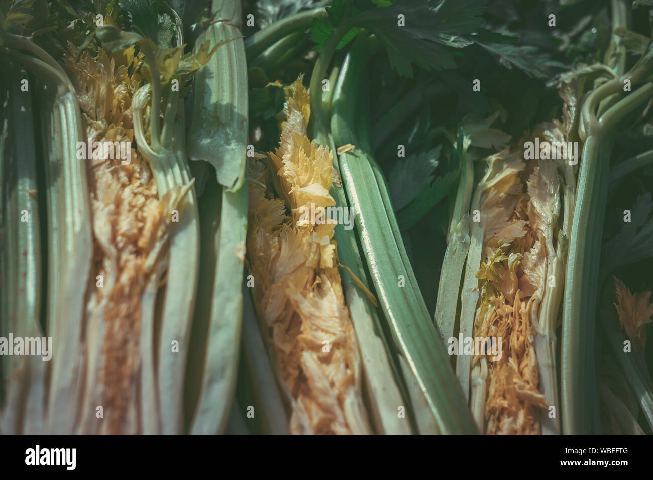 Fresh Celery in the market. Organic food. Healthy food Stock Photo - Alamy