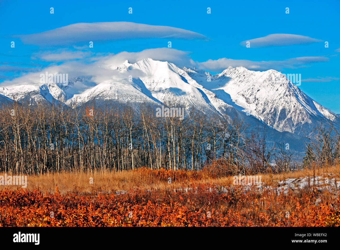 British first snowfall hi-res stock photography and images - Alamy