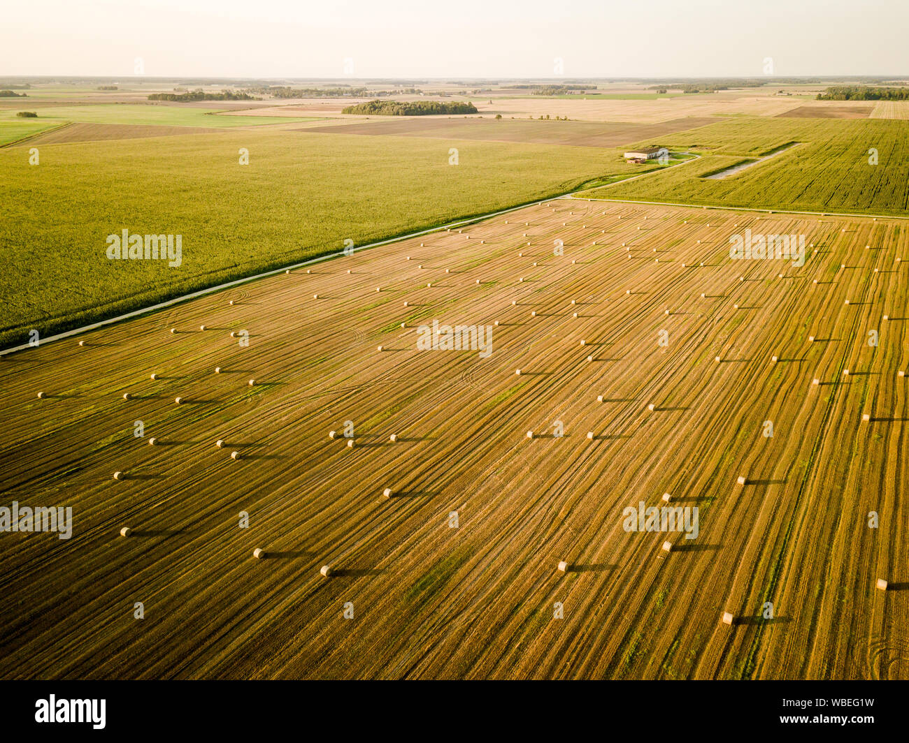 Golden summer sunset hi-res stock photography and images - Alamy