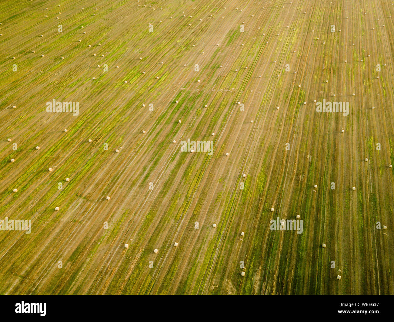 Agricultural field full of hay rolls during warm summer sunset. Aerial ...